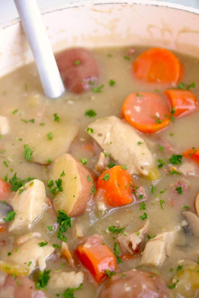 Easy Chicken Stew Recipe - Nourish Plate