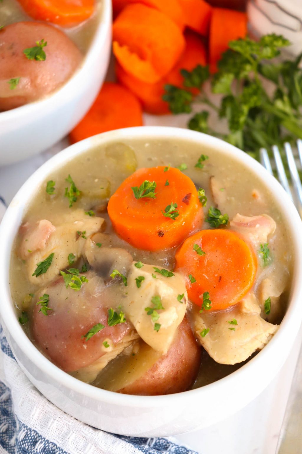 Easy Chicken Stew Recipe - Nourish Plate