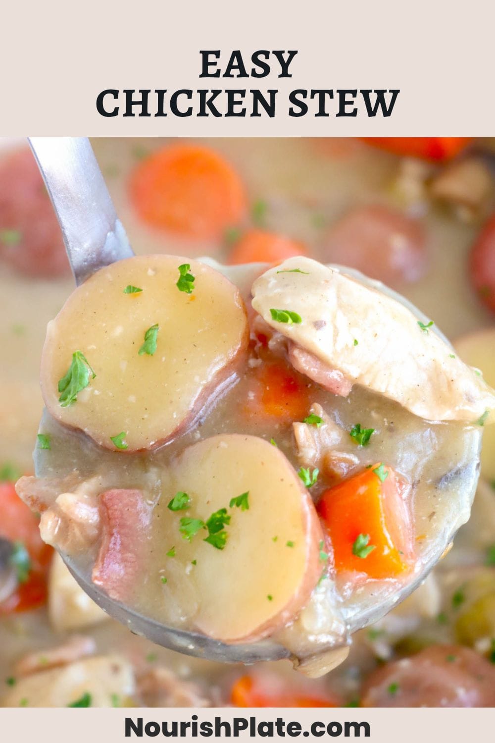 Easy Chicken Stew Recipe - Nourish Plate